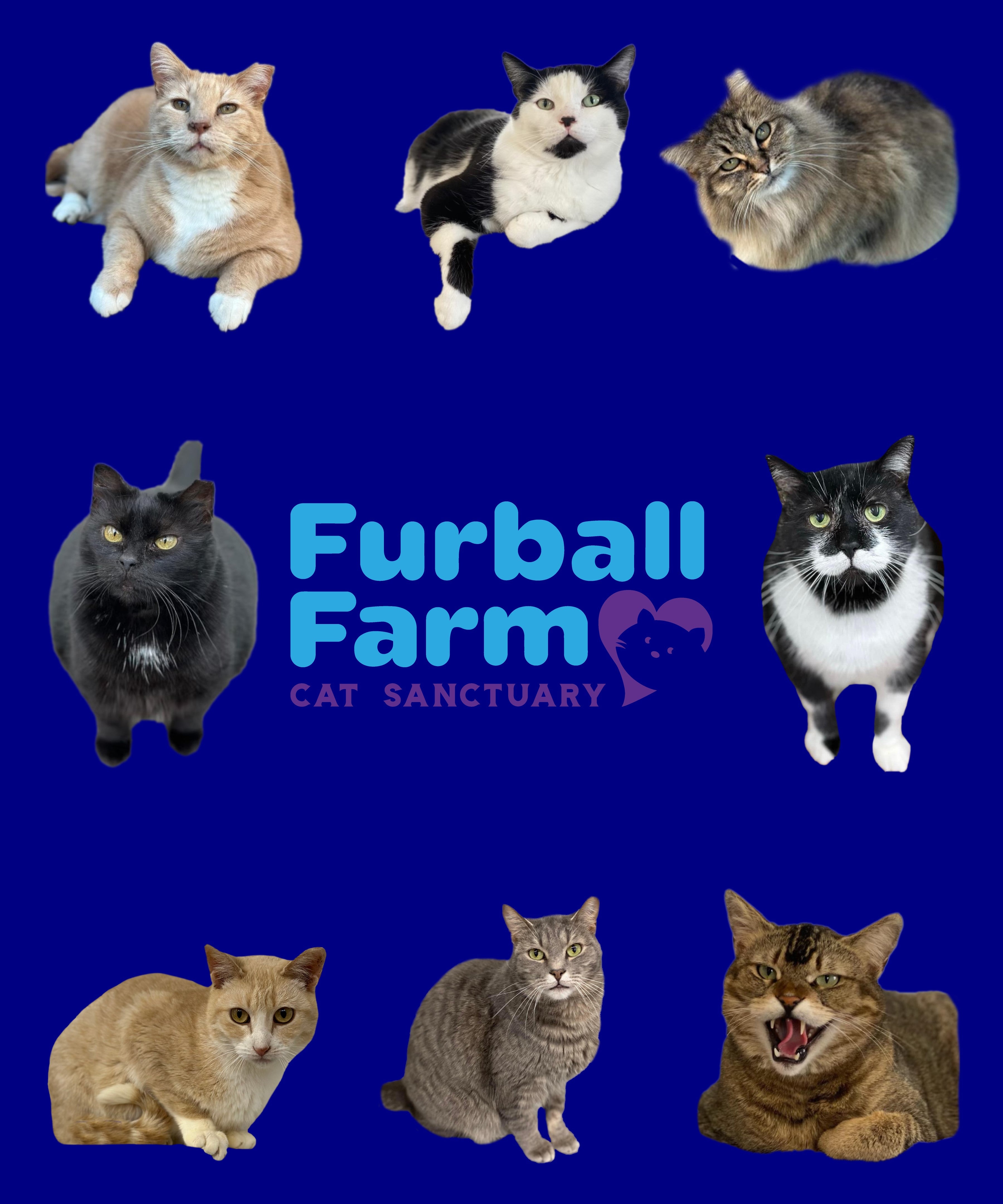 Furball Farm Cat Sanctuary Merchandise – Furball Farm Shop