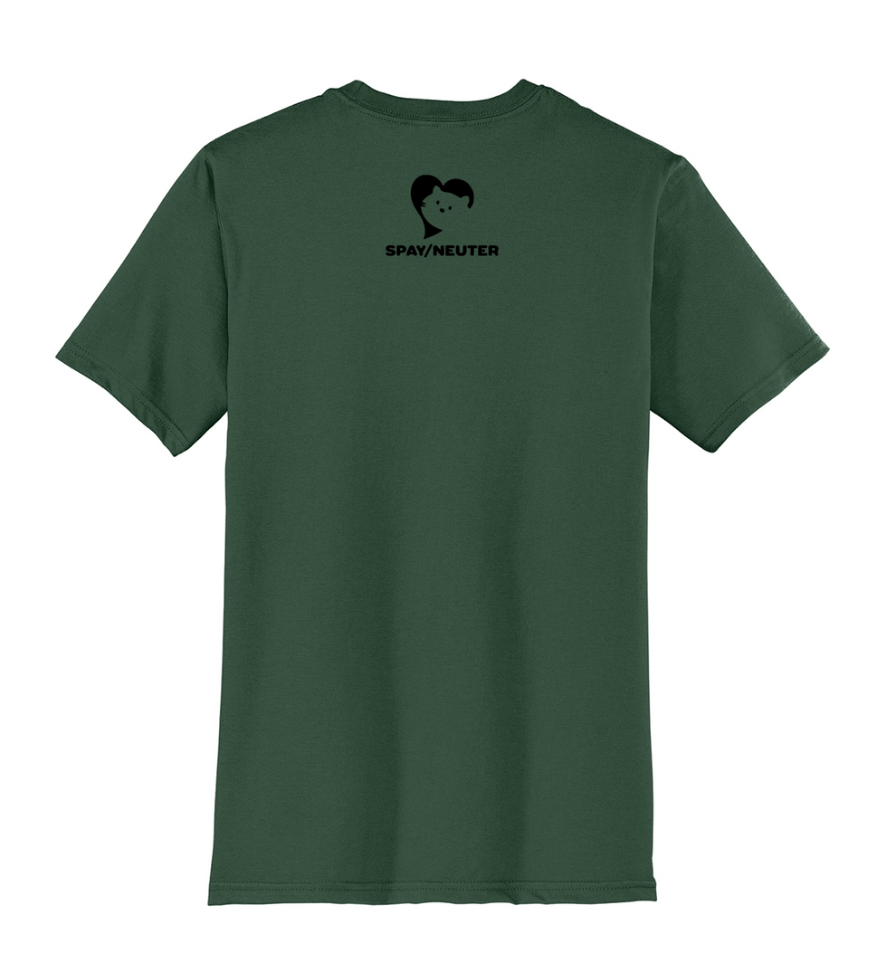 Boris - Cat of the Month - December 2024 – Furball Farm Shop