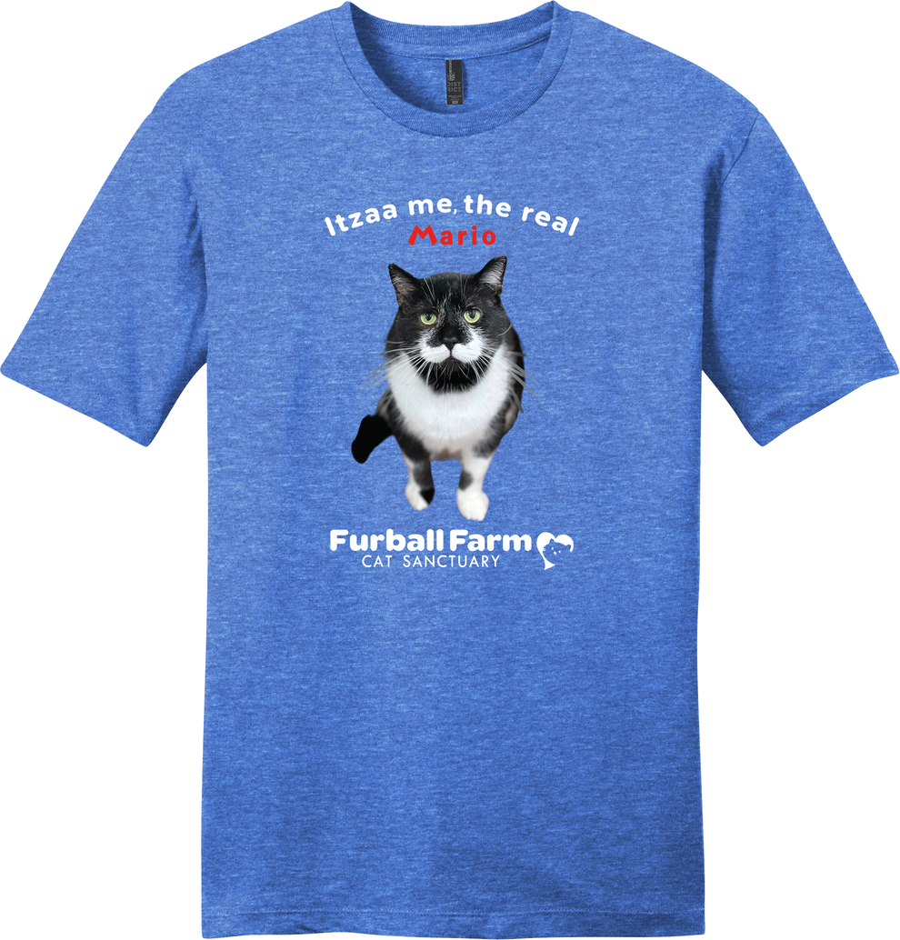 Furball Farm Cat of the Month T-Shirt - Mario – Furball Farm Shop