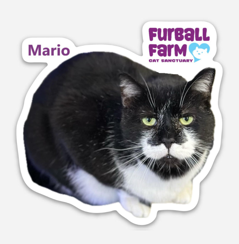 Furball Farm Cat Magnet – Furball Farm Shop